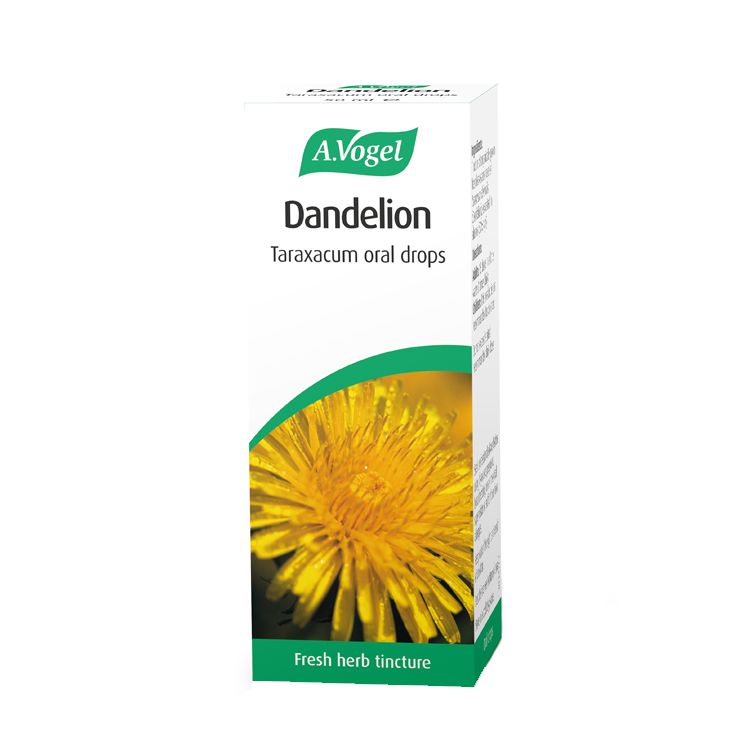A.Vogel Dandelion 50ml - Natural Health Products